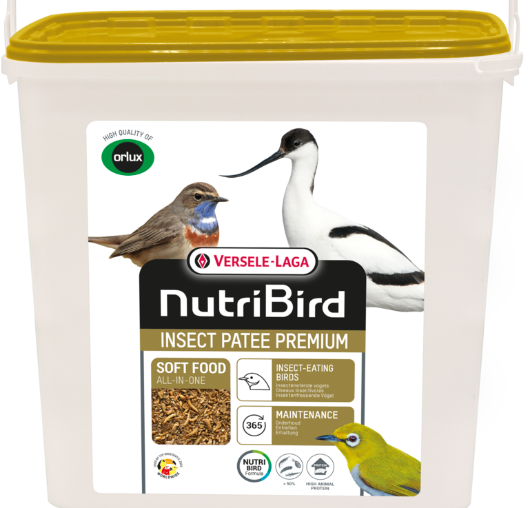 Softbill Bird Products – Softbills