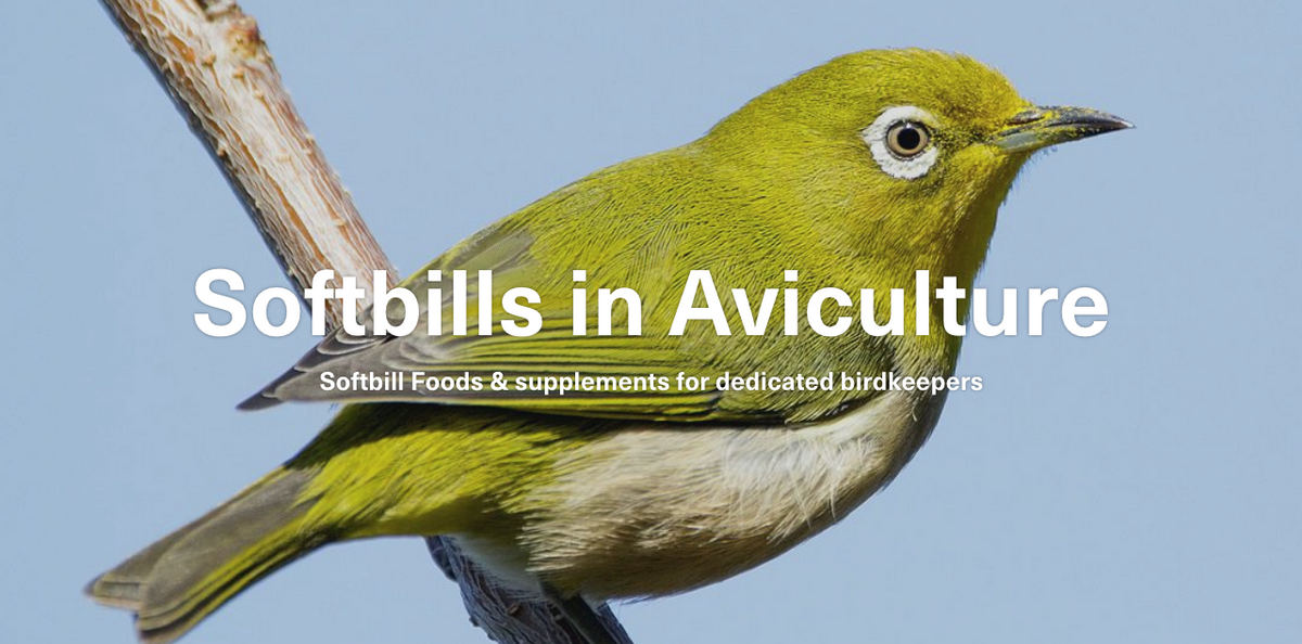 Softbill Bird Products – Softbills