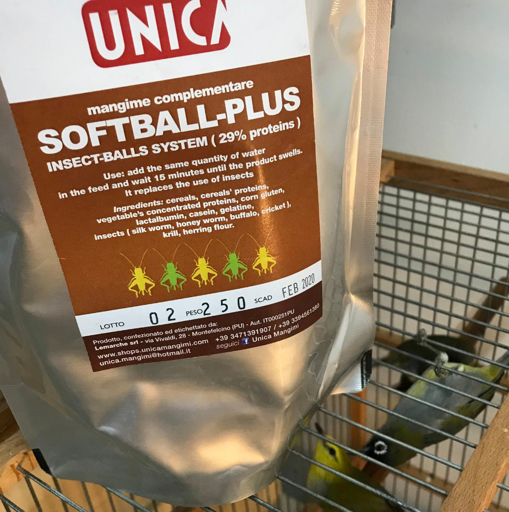 Softbill Bird Products – Softbills
